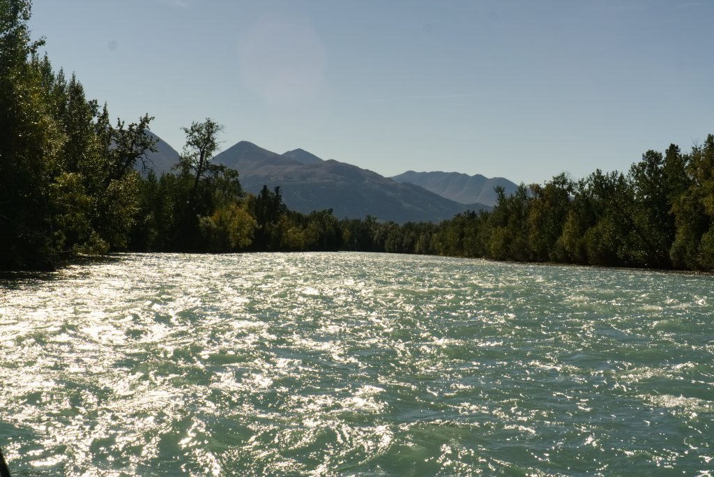 Upper Kenai River | Kenai River Float-n-Fish
