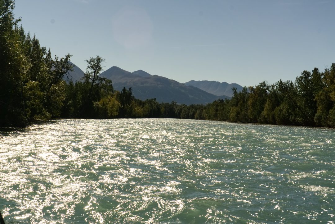 Upper Kenai River | Kenai River Float-n-Fish